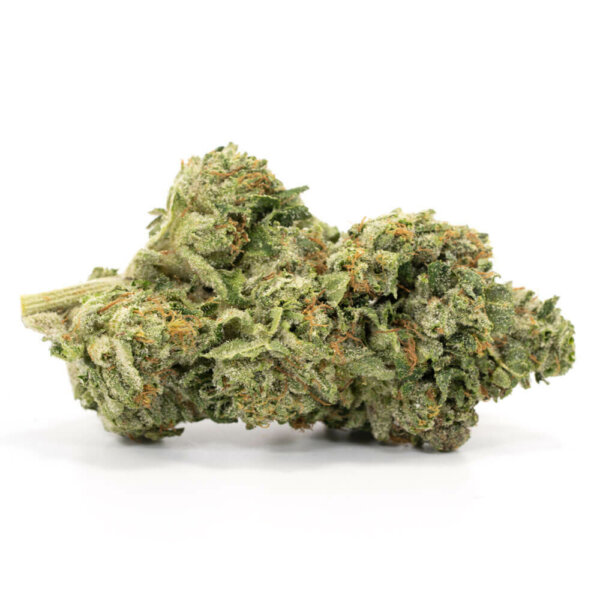 Night Queen Strain Review: Effects & Where to Buy (2026) | Weedpedia