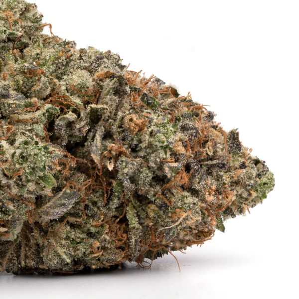 Citradelic Cookies Strain — Hybrid, 25% THC | Weedpedia